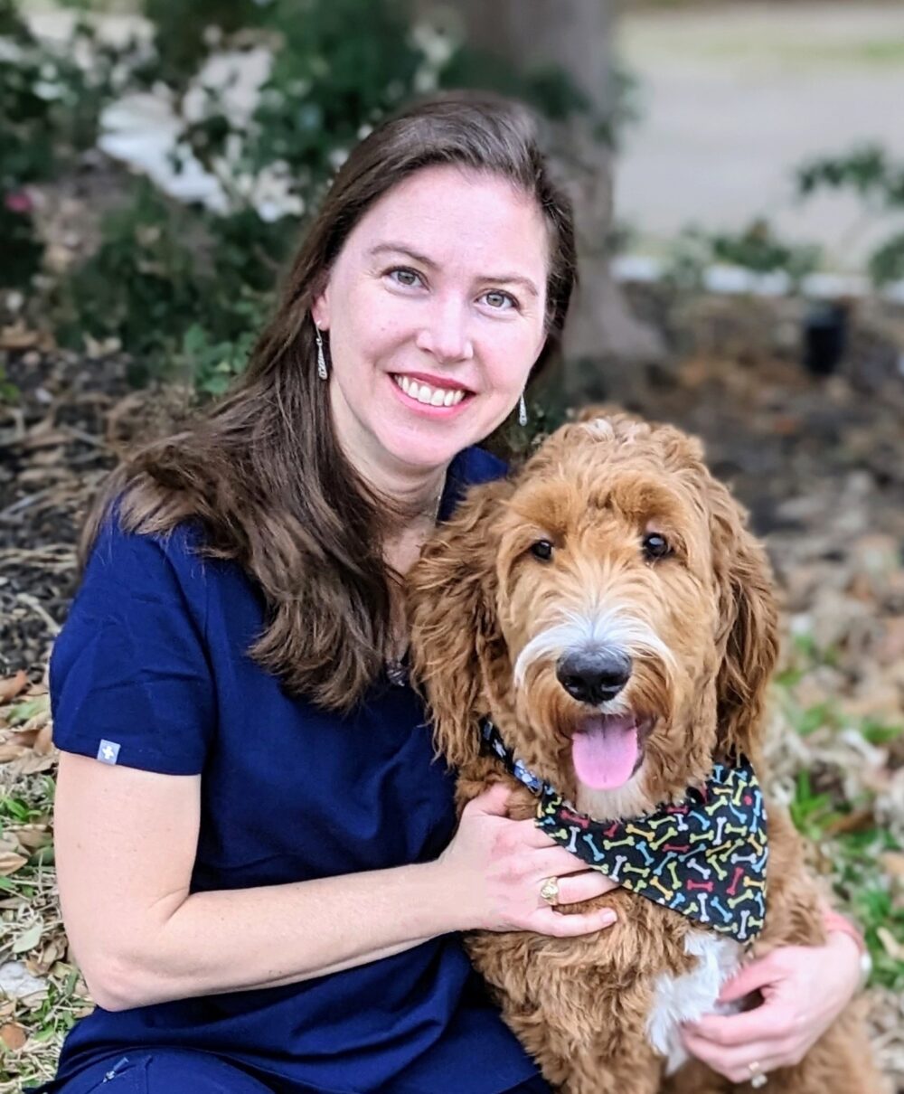 Veterinarian in Hutto, TX | Paw Haven Animal Hospital