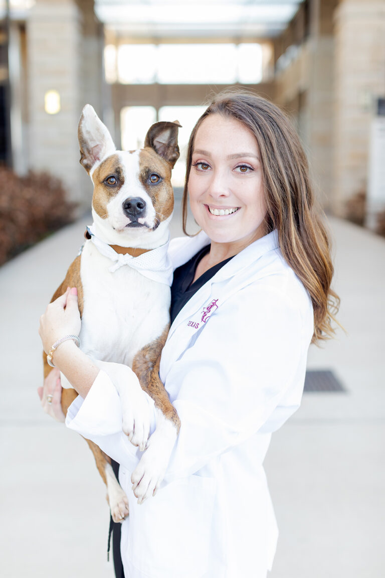 Meet the Team - Paw Haven Animal Hospital